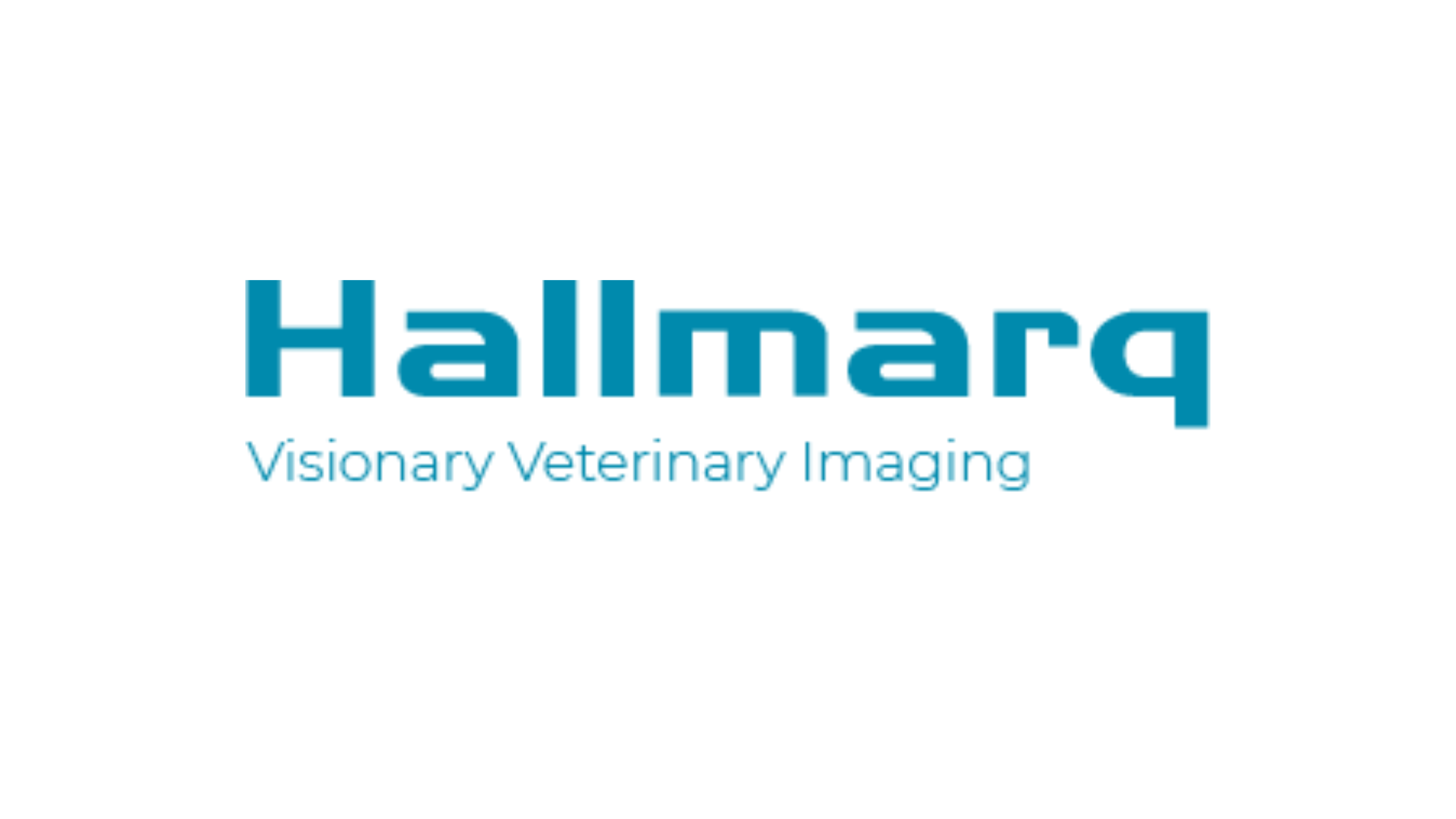 Hallmarq’s Vision CT campaign to receive VETTY Award® for excellence in ...