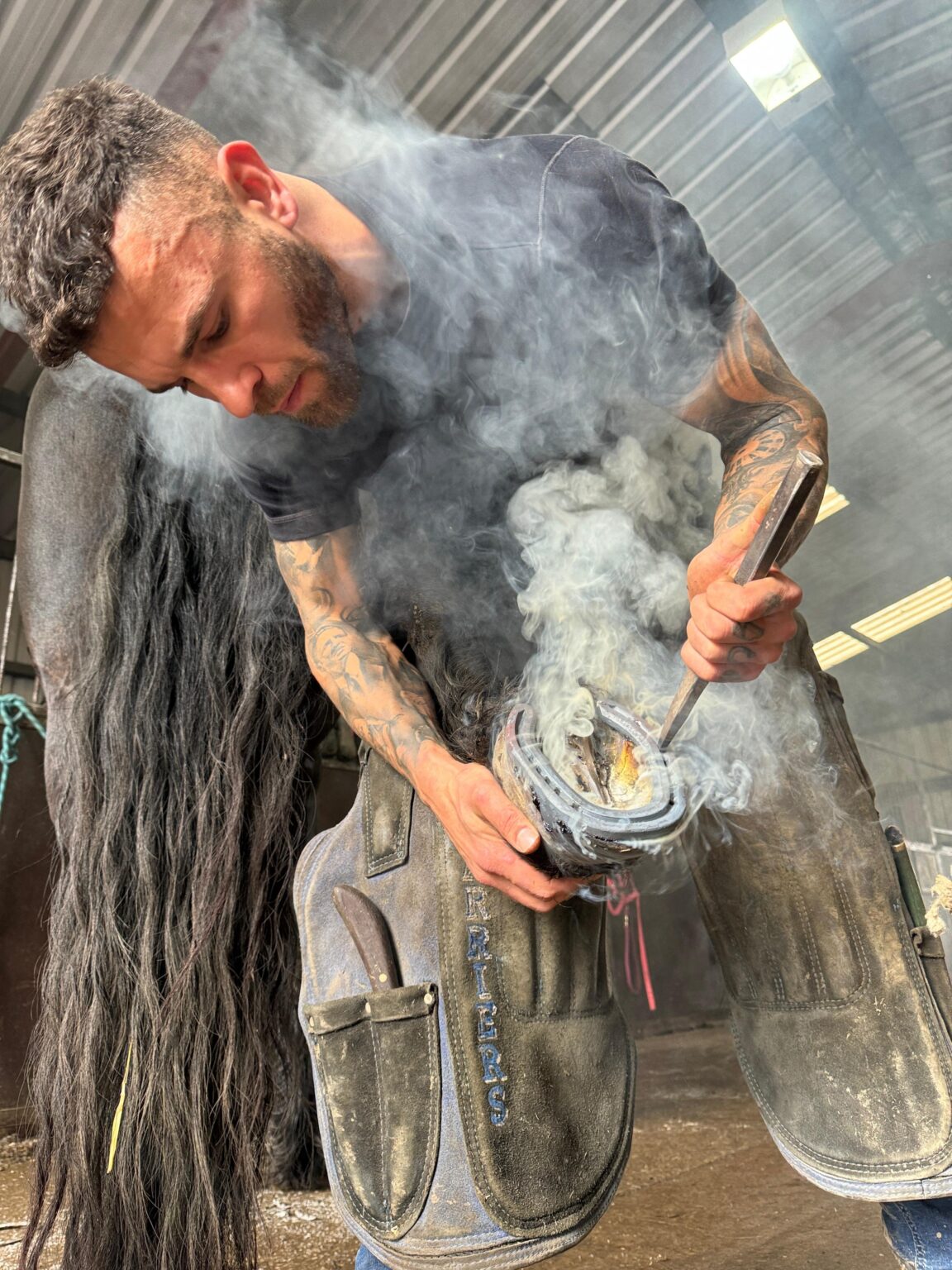 *PHOTOS* Farrier-influencer Sam Wolfenden joins Redwings as a charity ...