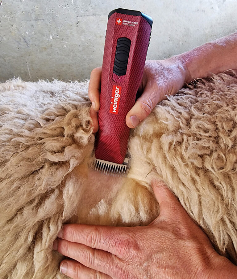 New clipper designed for vets – Wendy Nevins RVN